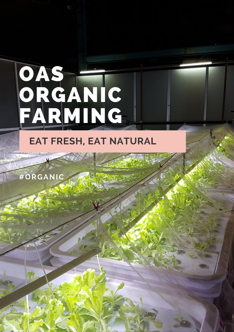 Commercial – Metro Farm Pte Ltd