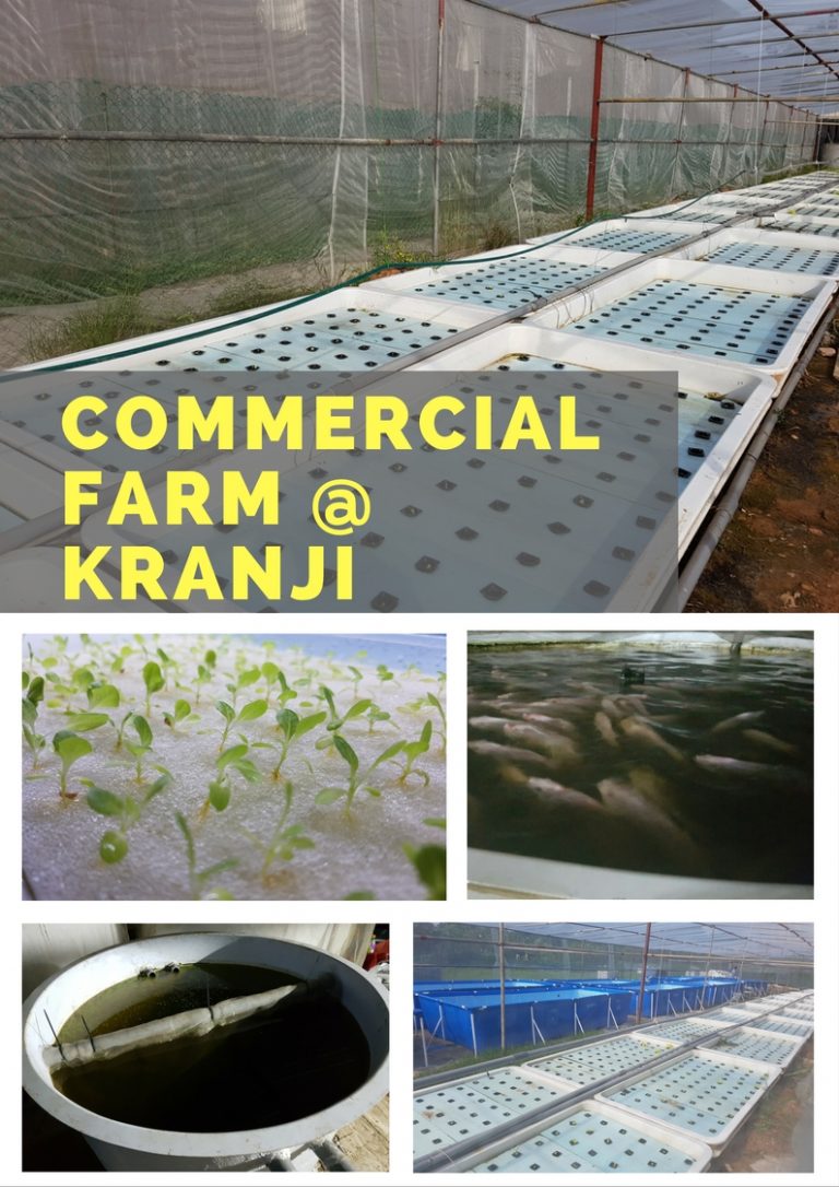 Commercial – Metro Farm Pte Ltd