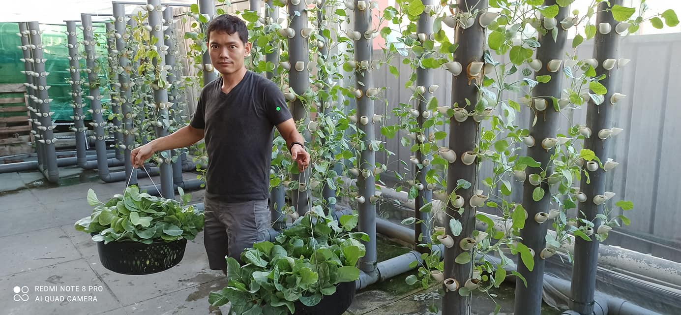 SMART IOT METROFARM AQUAPONICS DIGITAL FARMING @ MARINA COUNTRY CLUB ...